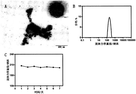 Near Infrared Quantum Dot Probe For Brain Glioma Tracing Eureka Patsnap