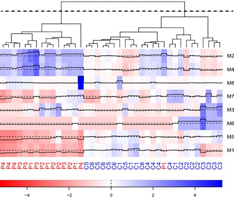 Heatmap And Dendrogram Containing The Clustering Results And Individual