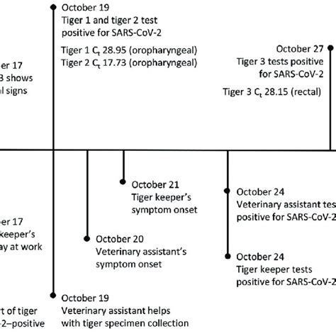 Timeline Of Events Identified During The Epidemiologic Investigation Of Download Scientific