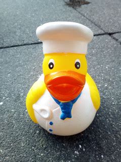 Doogee Shoot Smartphone Review NotebookCheck Net Reviews