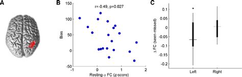 Spontaneous Network Correlates Of Leftward Spatial Attention Bias A