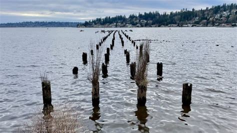 Juanita Bay Park Updated October 2024 116 Photos And 29 Reviews