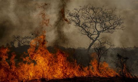 Desastres Climáticos Aumentaram 250 Nos últimos Quatro Anos No País