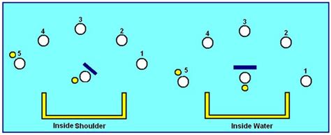 Water Polo Positions Sharks Choose From Which Position They Travel