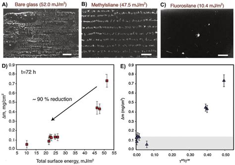 A−c Sem Micrographs Of Test Substrates With Various Surface Energies