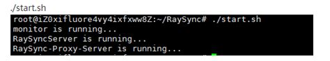 The Review Of Raysync High Speed Large File Transfer Solution