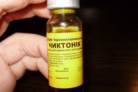 Чиктоник для кур: инструкция по применению, состав и противопоказания