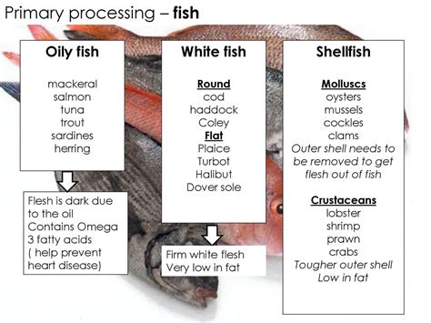 Food Provenance Processing And Production Ppt Download