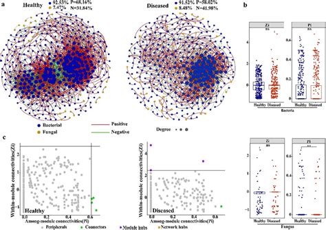 A Networks Of Microbial Co Occurrence Patterns In Healthy And