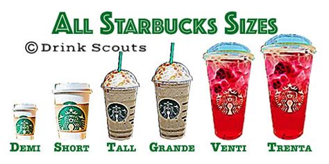 Confused By Starbucks Drink Sizes And Cup Sizes We Explain Drink