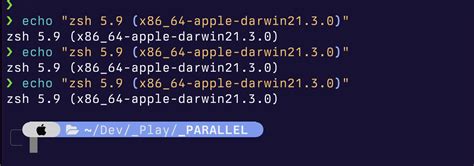 Transient Prompt Not Working Old Prompt Hasnt Cleaned With Zle