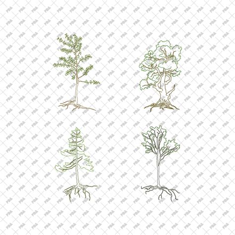 Cad Vector Trees With Roots In Color And Bw