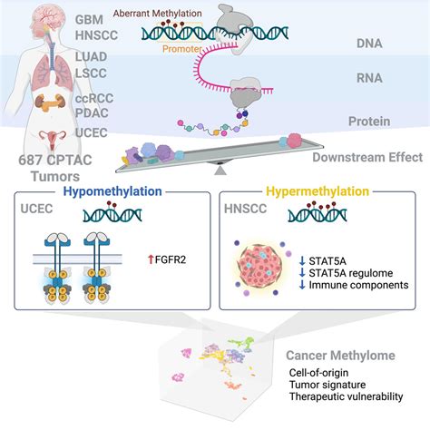 Integrative Multi Omic Cancer Profiling Reveals Dna Methylation Patterns Associated With