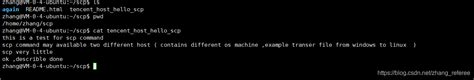 Scp远程文件拷贝scp 拷贝 Csdn博客