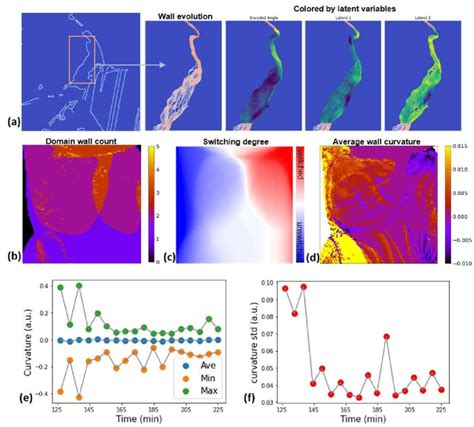 Latent Space Analysis Of Domain Wall Evolution A Evolution Of A