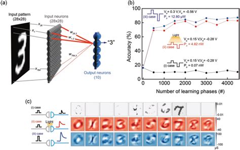 A Constituents Of A Single‐layer Network For The “3” Pattern Download Scientific Diagram