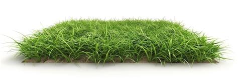 Premium Photo Grass Render Square Green Lawn Background Isolated On