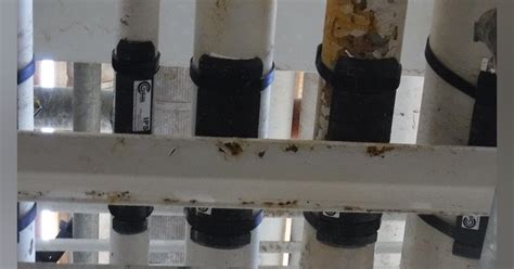 New Frp Support System Combats External Pipeline Corrosion Offshore