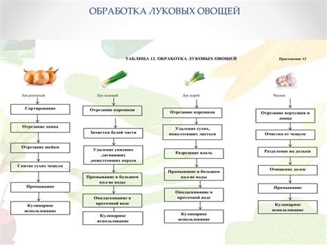 Приготовление и подготовка к реализации полуфабрикатов из овощей