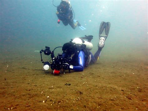 Muck Diving Philippines Anilao The Philippines Most Accessible Dive