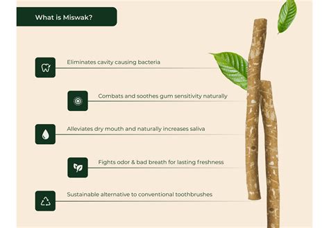 Miswak Plant Benefits