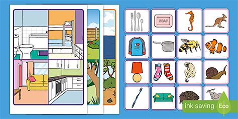 Sorting Categories Activity