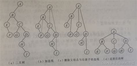 树、森林与二叉树之间的转换 树森林二叉树的转换 csdn博客