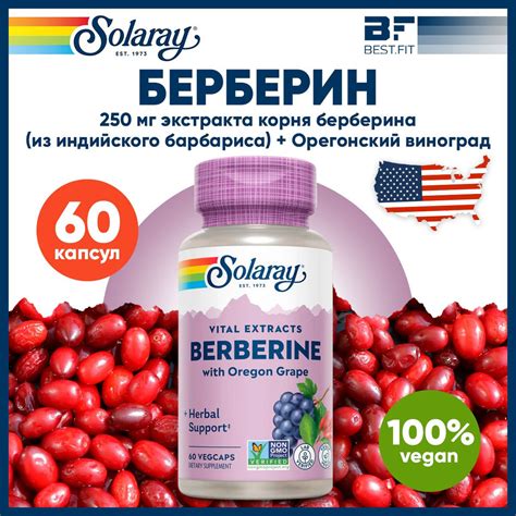 Берберин экстракт корня барбариса 250 мг Solaray, Berberine Root ...