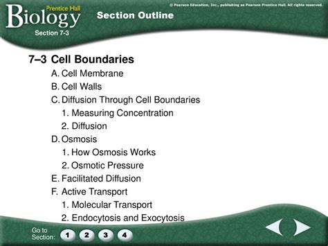 Section 7-1 Are All Cells Alike? - ppt download