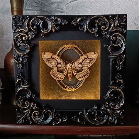 Backlit Frames Tarantulabox