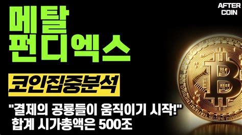 메탈펀디엑스 코인 결제의 공룡들이 움직이기 시작 합계 시가총액은 500조 메탈코인전망 메탈코인분석 펀디엑스코인시세 펀디엑스코인전망 Youtube