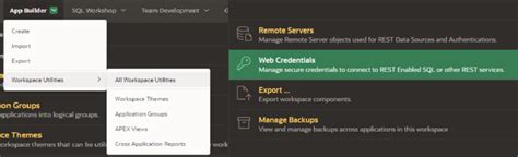 Oracle Apex Social Sign In Integration Codix