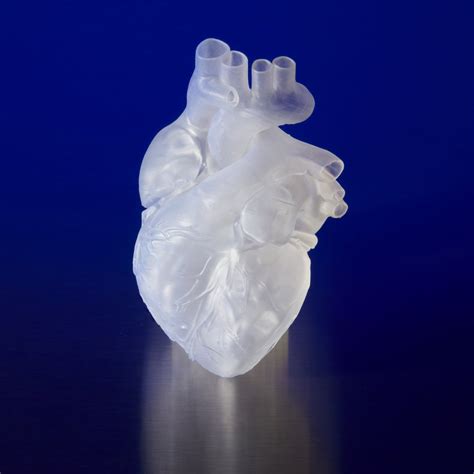 Formlabs Elastic Resin 50a 3d Tulostus Fi