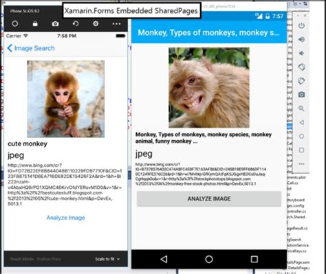 Embedding Xamarinforms Into A Xamarin Native App Thefuture James