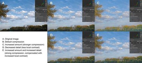 Dynamic Image Compression Techniques In Laravel