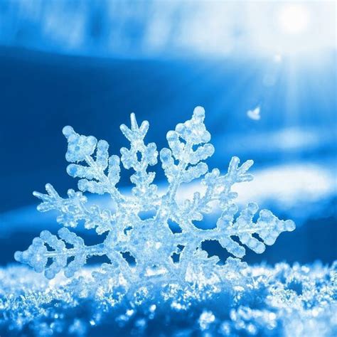 Čičmany Slovakiatravel