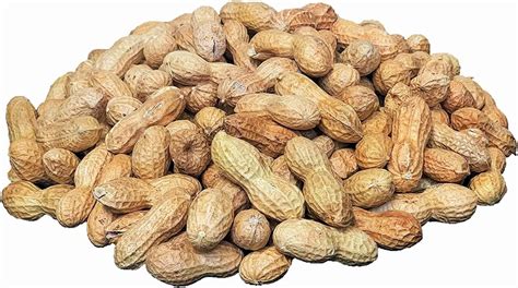 Premium Raw Peanuts In Shell For Birds Squirrels Deer 5 Lbs In