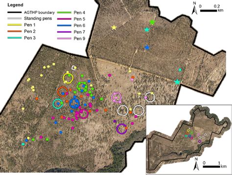 Gopher Tortoise Capture Locations In 2017 2018 At The Aiken Gopher Download Scientific Diagram