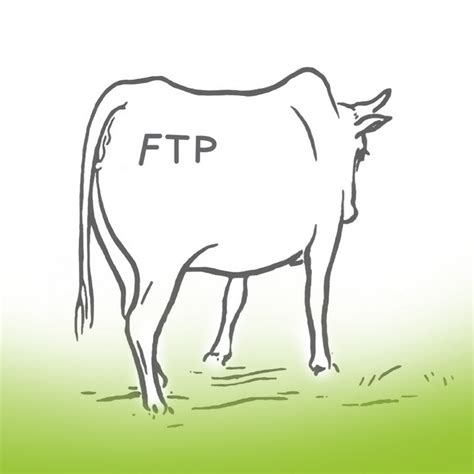 Hosted FTP Resources YouTube