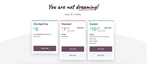 Odoo Pricing Guide Implementation And License Cost