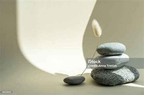 전시회 및 제품 발표를 위한 연단 재료 돌 나무 천연 소재로 만든 아름다운 베이지색 배경 추상적인 자연 장면과 구성 제품 프리젠테이션 0명에 대한 스톡 사진 및 기타 이미지