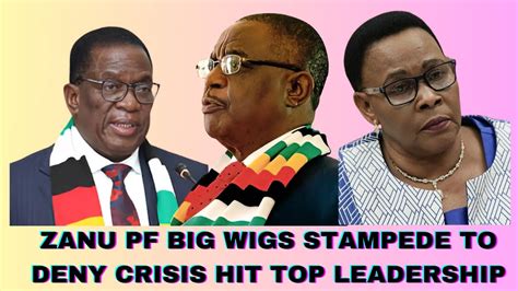 zanu pf big wigs stampede to deny crisis hit leadership as mnangagwa