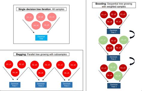 the ultimate guide to adaboost random forests and xgboost decision