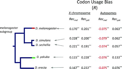 Correlation Between Codon Usage Bias Cub And Crossover Rates In D Download Scientific