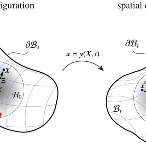 Schematic Illustration Of The Two Finite Deformation Example Problems Download Scientific