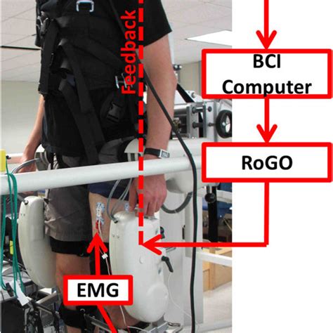 Emg Power Spectral Density Representative Emg Psd Of The Quadriceps