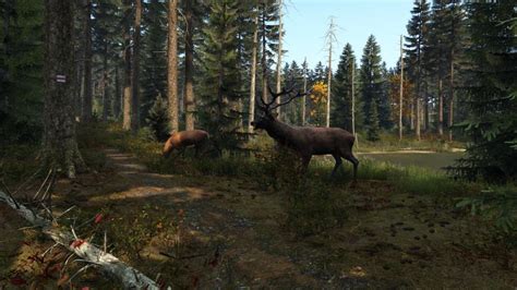 Buy DayZ Day Z Steam Game Key Days MMOGA