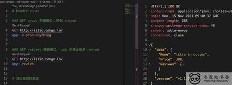 《istio In Action 系列》 8 Virtualservice 使用 Header 重写路由 老麦的书房