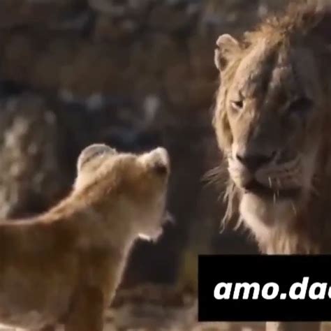 دوبله خنده دار مثبت۱۸😂 کرگدن شاخشو کرد تو کونش تا سه روز از دهن میرید🤣😂