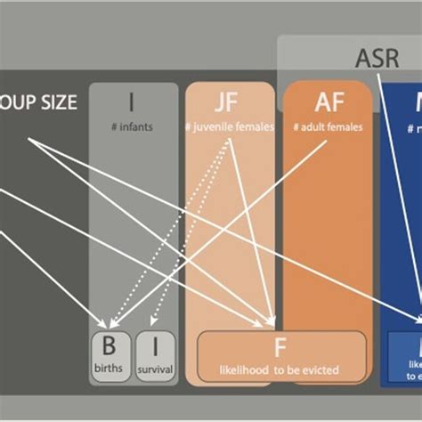 Overview Of Positive And Negative Significant Effects Of Predictors On Download Scientific